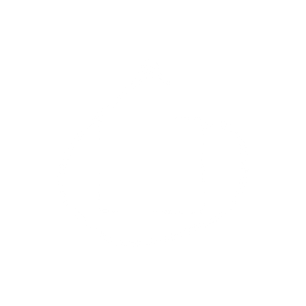 Backup Battery Pack (NEW) – QuickSafes